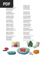 Poema Se Mato Un Tomate | PDF