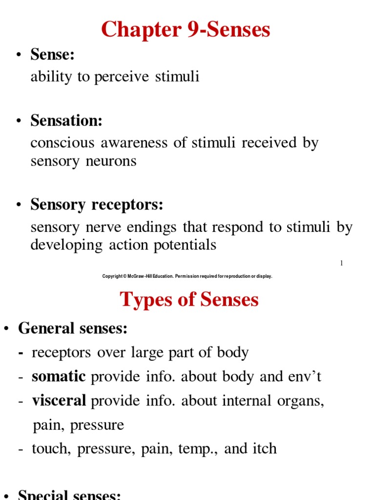 Chapter 9-Senses | PDF | Somatosensory System | Ear