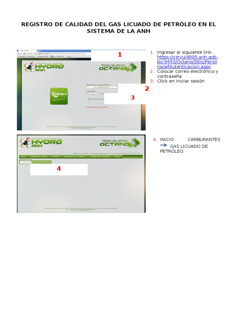 Manual de Uso de Sistema Octano | PDF | Tecnología