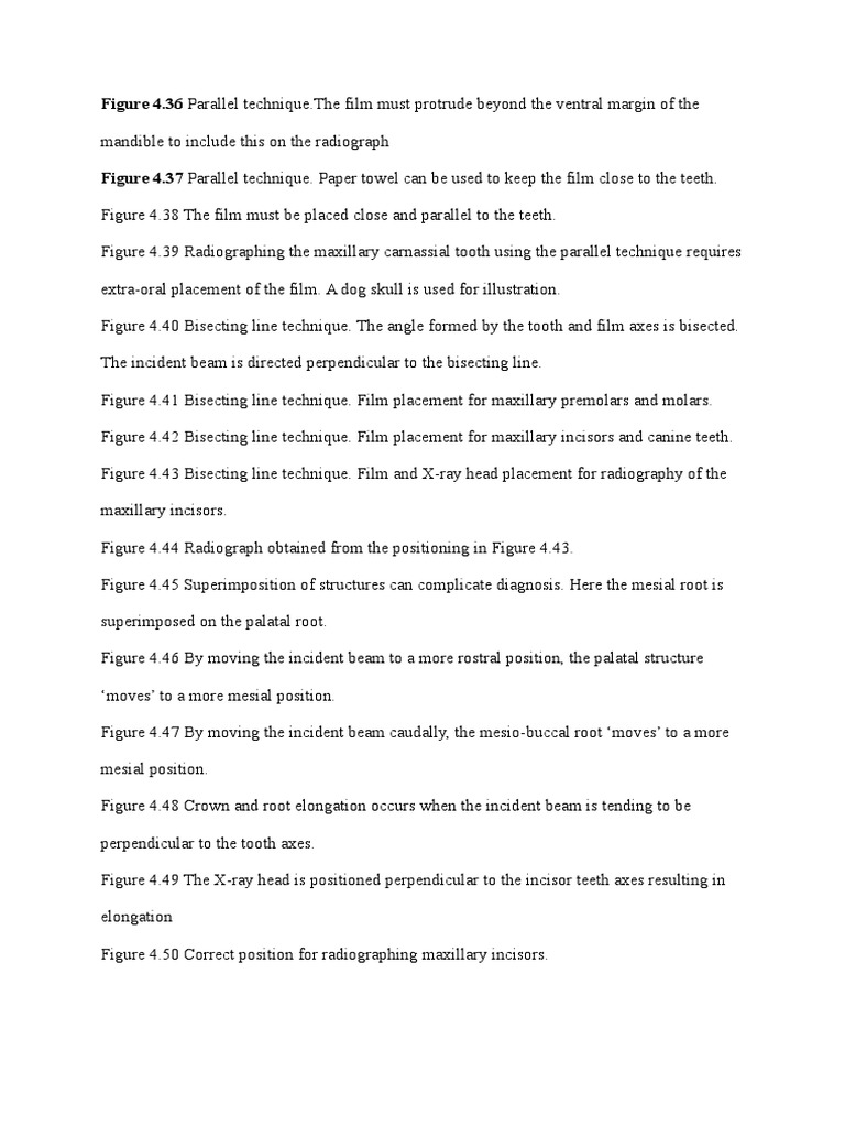 Draft Translate DAM | PDF | Dental Anatomy | Mouth
