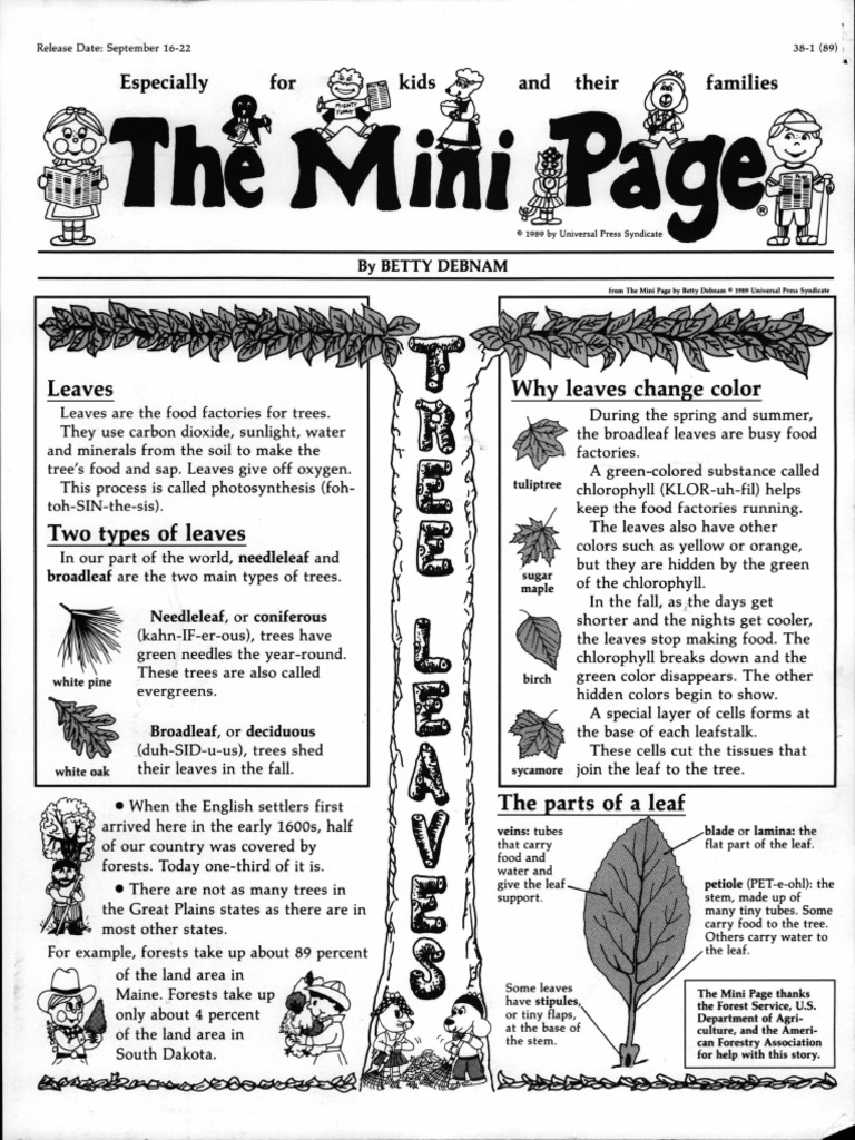 Leaves | PDF | Home & Garden