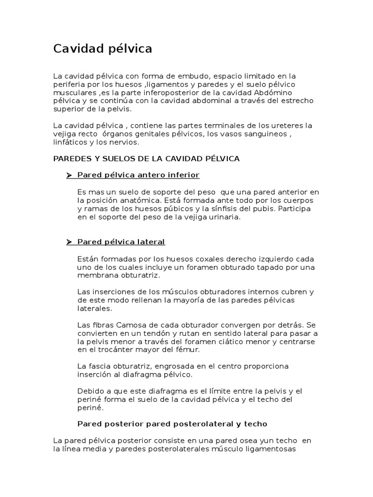 Cavidad Pélvica | PDF | Pelvis | Sistema esquelético