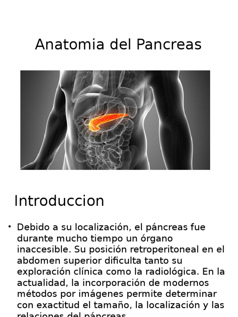 Anatomia Del Pancreas | PDF | Páncreas | Abdomen