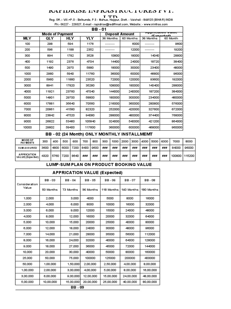 Rapidrise Infra Payment Plans | PDF | Business