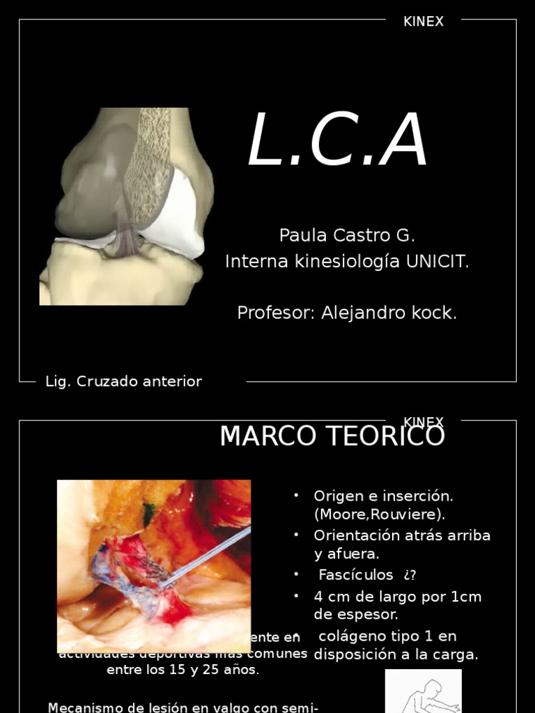 Anatomía y Rehabilitación del LCA | PDF | Rodilla | Articulaciones