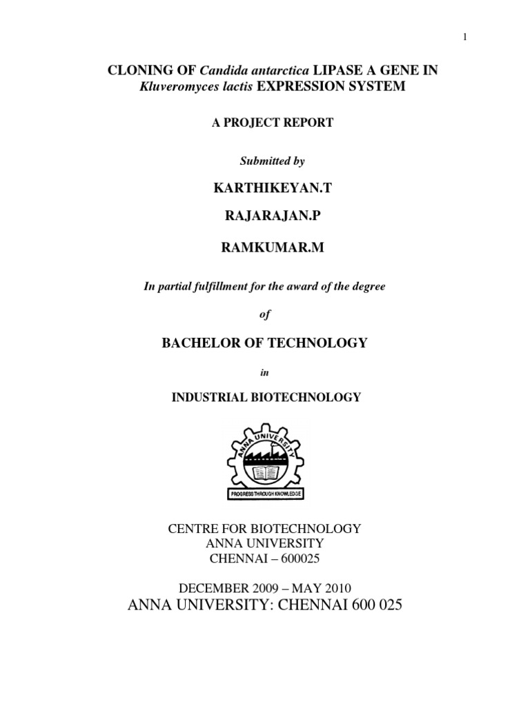 CLONING OF Candida Antarctica LIPASE A GENE IN Kluveromyces Lactis ...