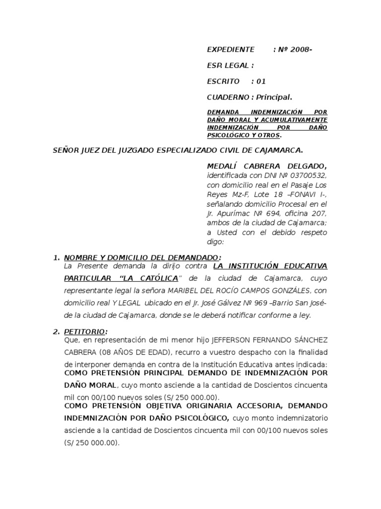 Modelo De Demanda De Daño Moral Pdf Psique Psicología Demanda