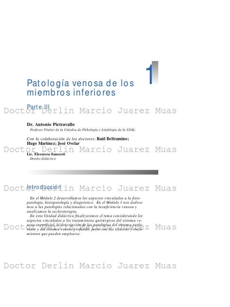 Patología Venosa De Los Miembros Inferiores Parte Iii Pdf Venas