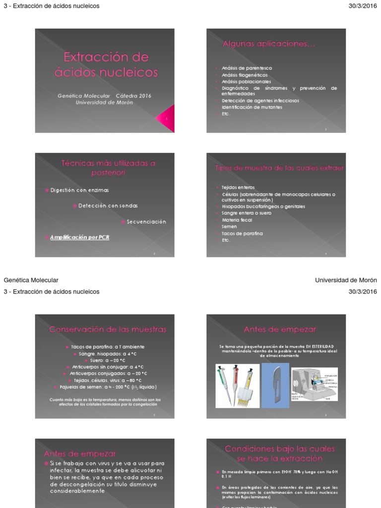 Extracción de Ácidos Nucleicos | Descargar gratis PDF | Adn | Virus