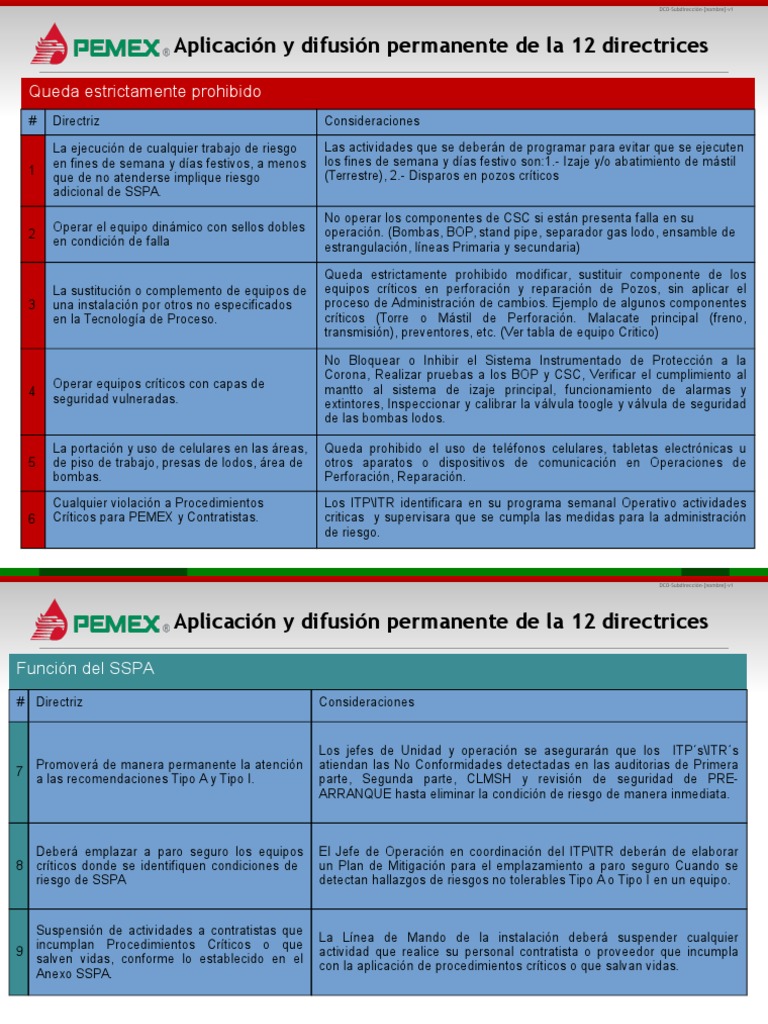 12 Directrices Sspa | PDF