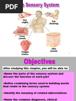 Lab Exercise - Special Senses | PDF | Ear | Hearing