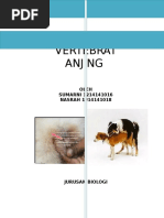 Anatomi Fungsional Organ Reproduksi Sapi Betina | PDF
