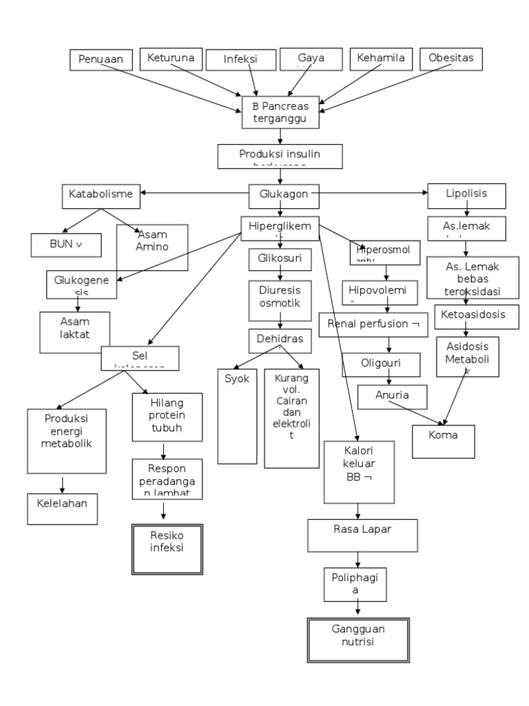 Pathway Diabetes Mellitus | PDF