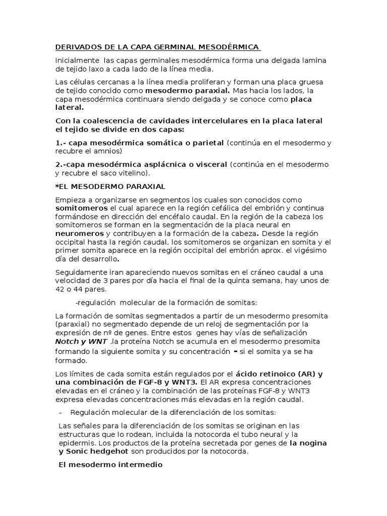 Derivados de La Capa Germinal Mesodérmica | PDF | Anatomía | Biología ...