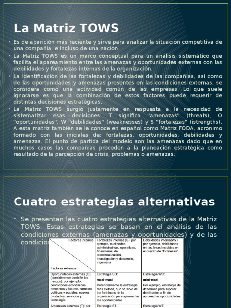 Matriz Tows | PDF | Business | Cognición
