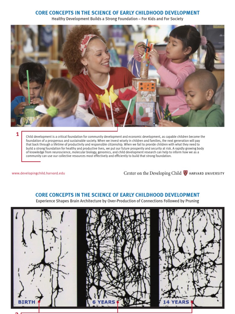 Early Childhood Brain Development Insights | PDF | Developmental ...