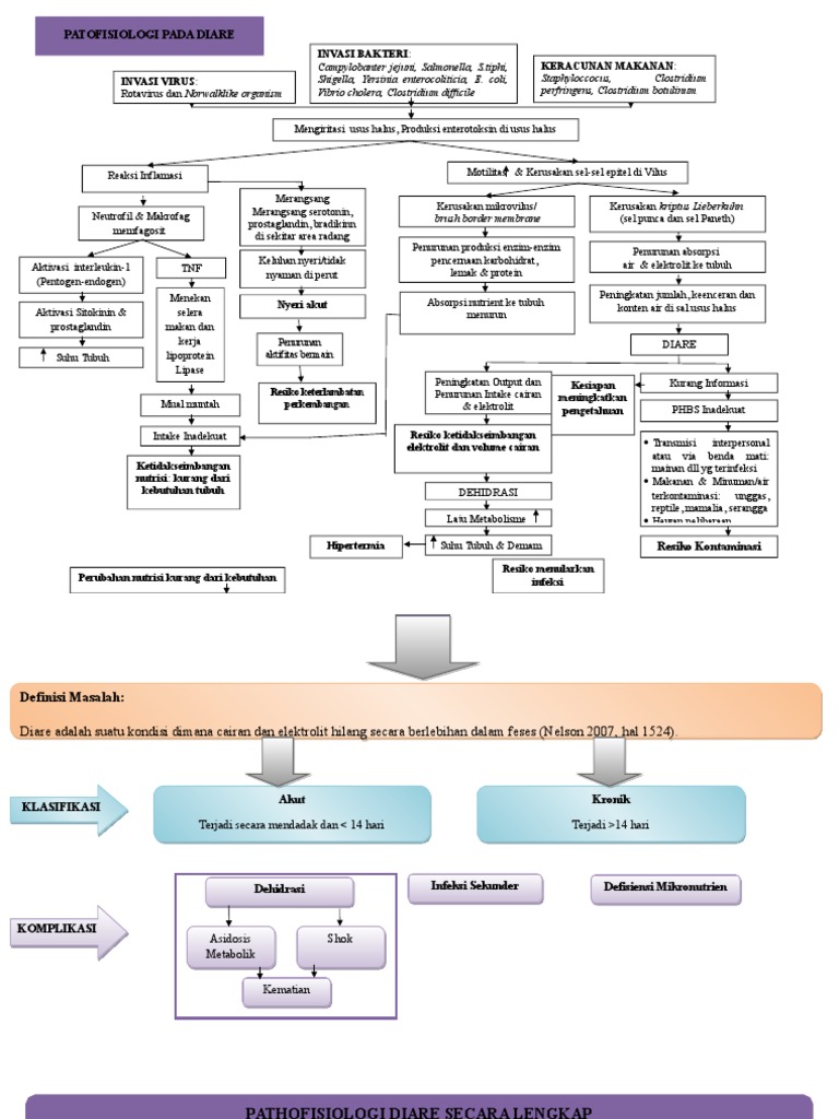 WOC Diare | PDF | Kesehatan Holistik