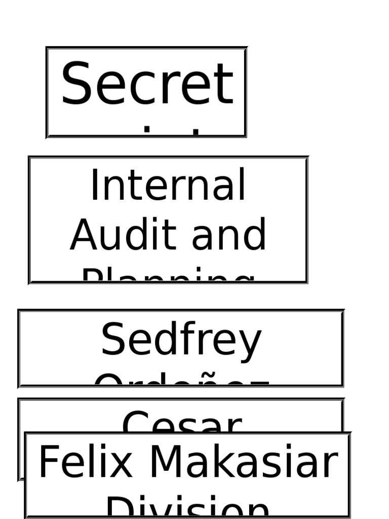 Secret Ariat: Internal Audit and Planning | PDF