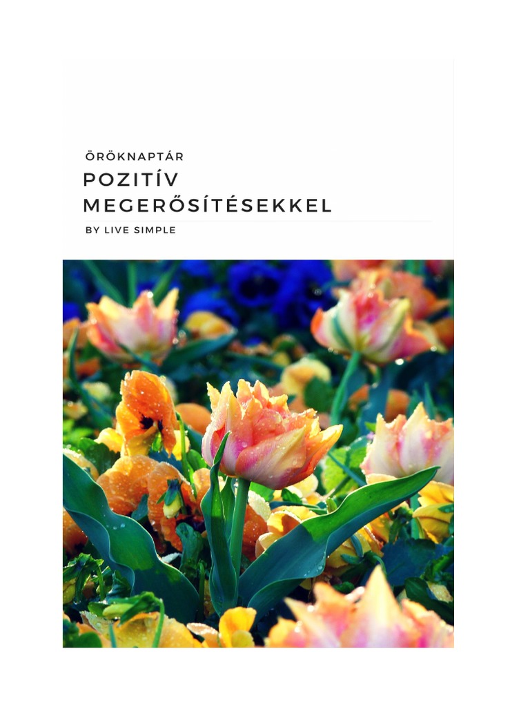 Öröknaptár Pozitív Megerősítésekkel-365 Mondat | PDF