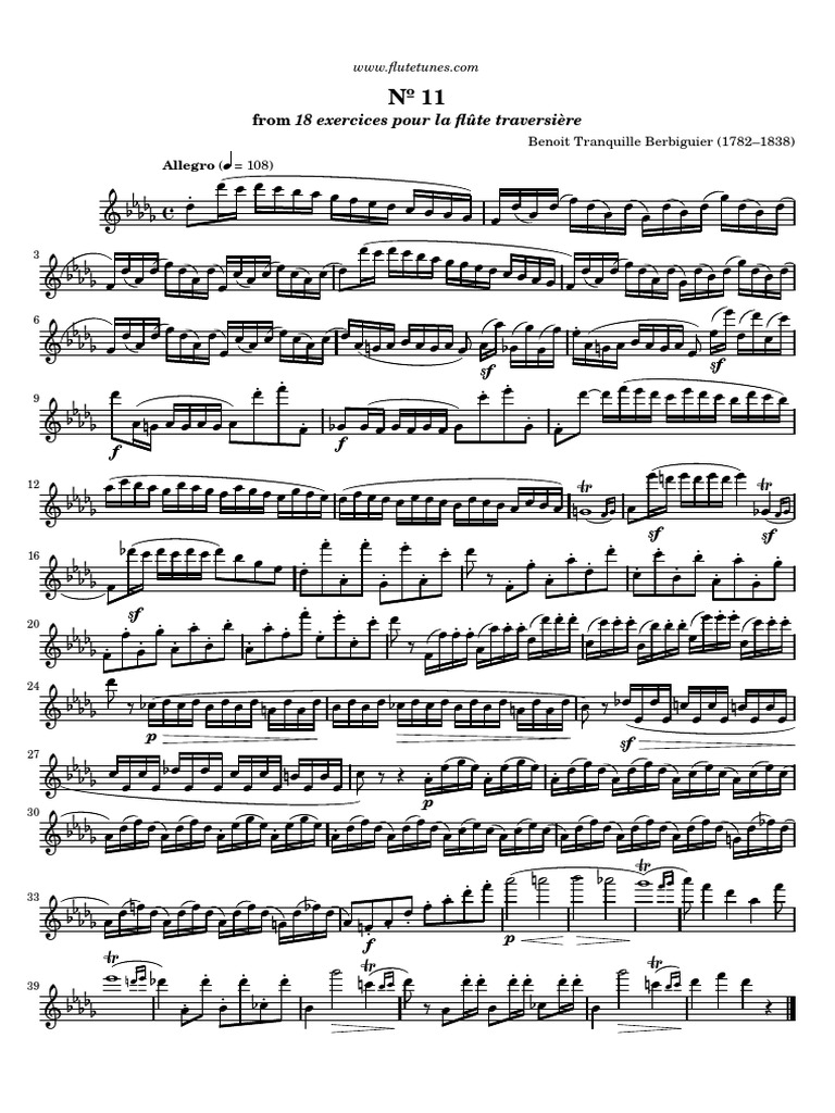 Flute Exercise No. 11: Allegro | PDF