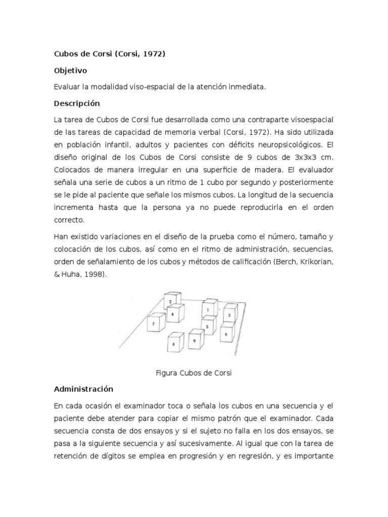 Cubos de Corsi Aplicación y Calificación | PDF