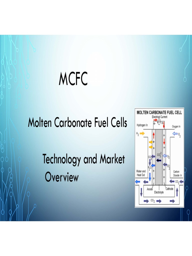 Molten Carbonate Fuel Cell Overview | PDF | Fuel Cell | Nature