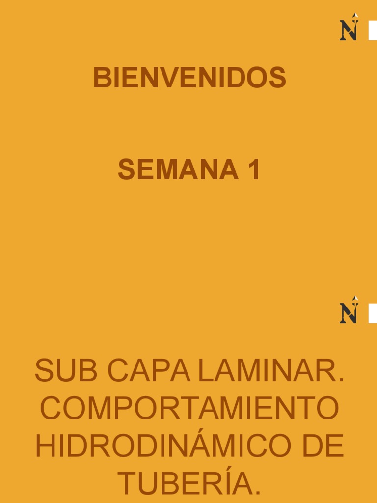 Subcapa Laminar | PDF | Capa límite | Flujo laminar