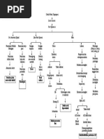 Pathway Perawatan Pasca Sectio Caesarea | PDF | Kesehatan Holistik