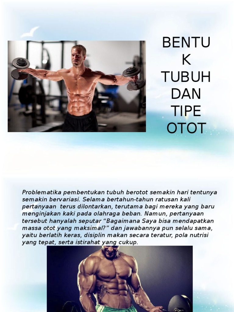 Bentuk Tubuh Dan Tipe Otot | PDF