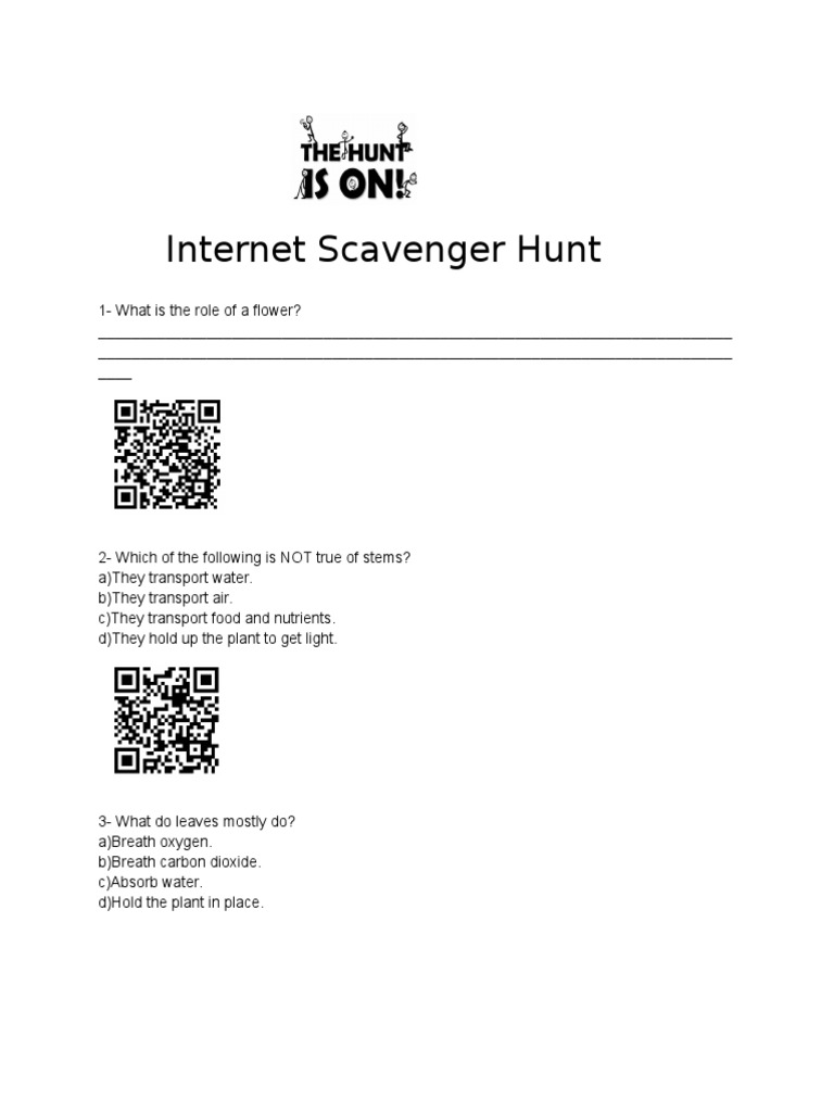 Scavenger Hunt | PDF