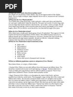 NOAA Shark Identification Placards | PDF | Sharks | Vertebrates