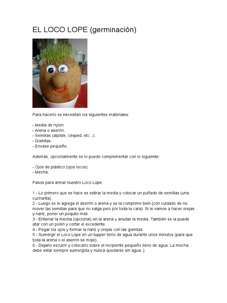 Loco Lope y Caledoscopio | PDF | Hogar, jardinería y bricolaje | Arte