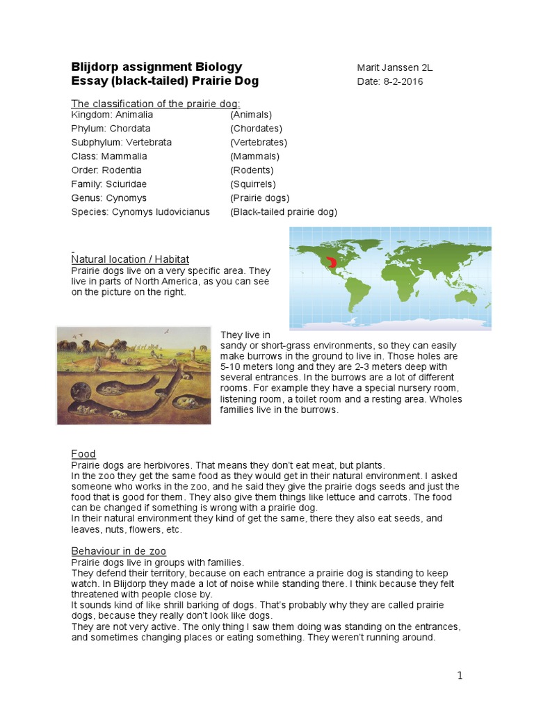 Black-tailed Prairie Dog Overview | PDF | Nature
