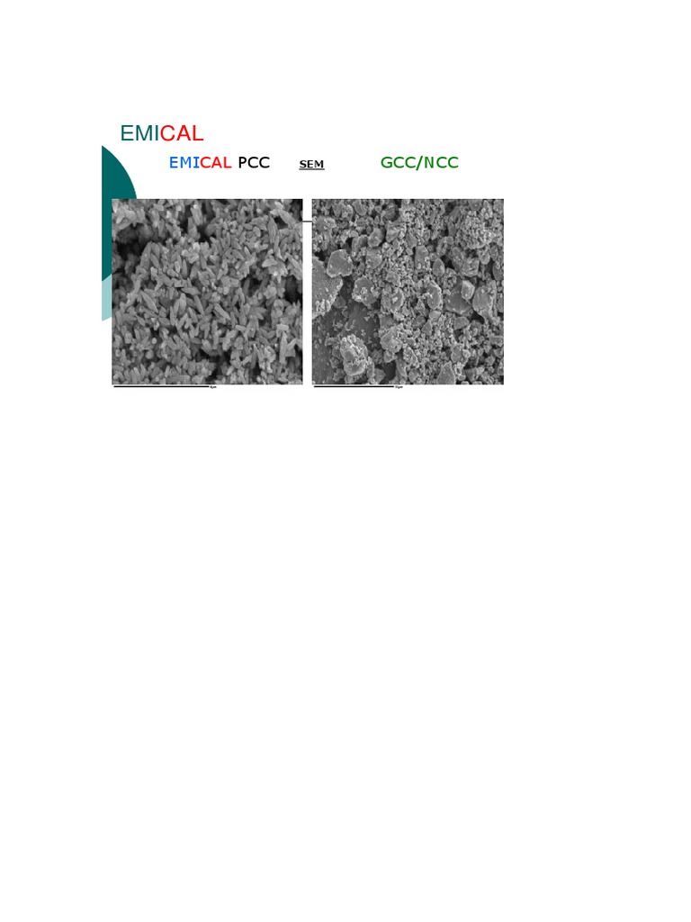Comparing GCC and PCC Performance | PDF