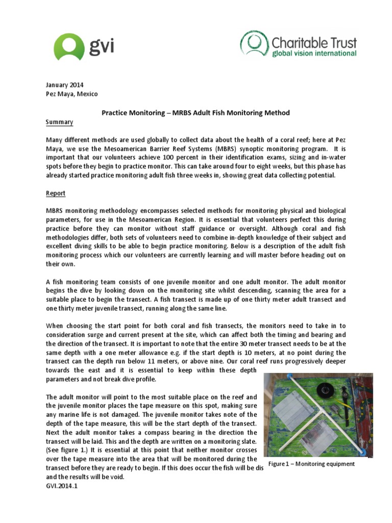 MRBS Adult Fish Monitoring Guide | PDF | Coral | Diving