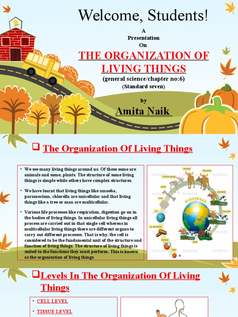 Levels of Organization in Living Things | PDF | Organ (Anatomy) | Cell ...