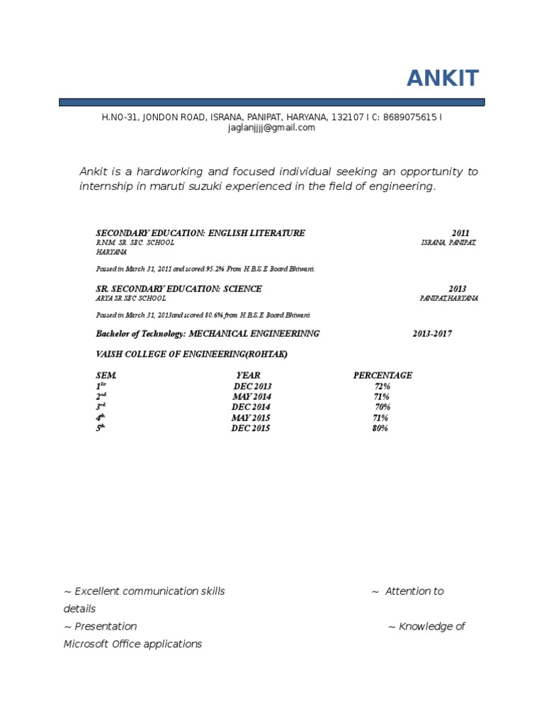 Am Resume | PDF | Art | Computers