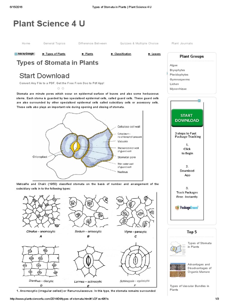 Types of Stomata in Plants - Plant Science 4 U | PDF | Stoma | Plants