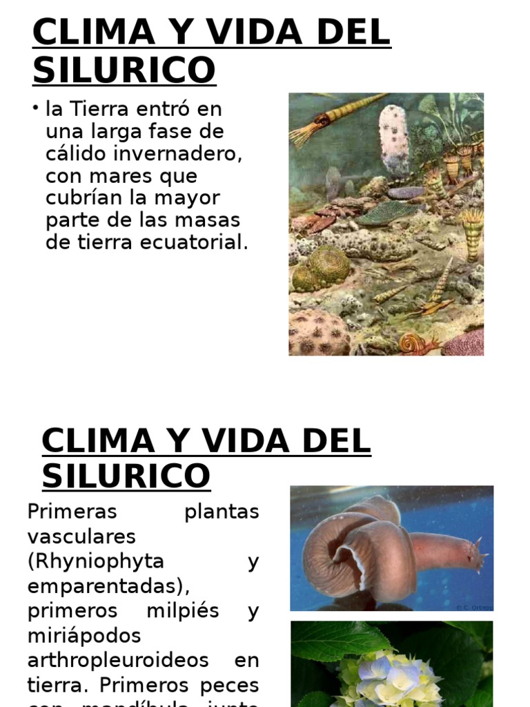 Clima y Vida Del Silurico | Geología | Earth Sciences