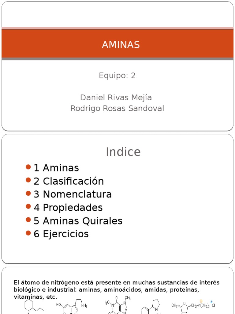 Guía Completa sobre Aminas y Propiedades | PDF | Amina | Polaridad química