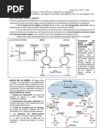 AZOADOS | PDF | Ciencia y matemáticas