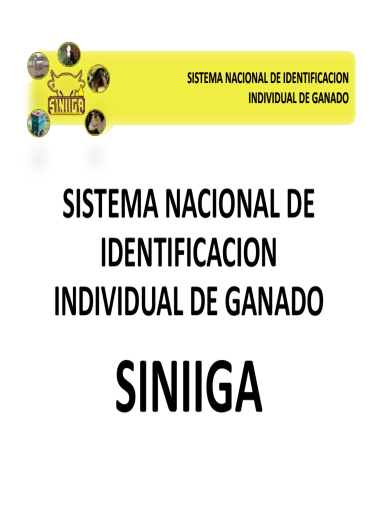 Siniiga Presentacion
