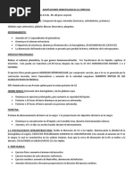 Test de Ruffier Dickson - Protocolo y Analisis | PDF | Legumbres