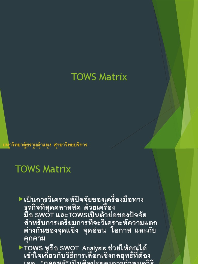 TOWS Matrix | PDF