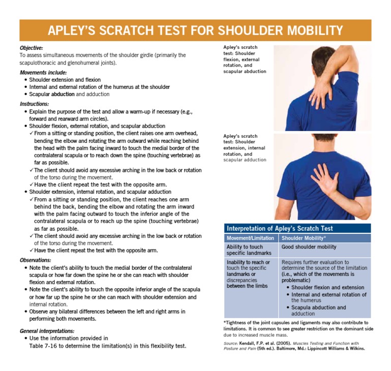 Apley's Scratch Test assesses shoulder mobility | PDF | Anatomical ...