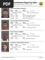 Peoria County Jail Booking Sheet | PDF | Law Enforcement | Crime & Violence