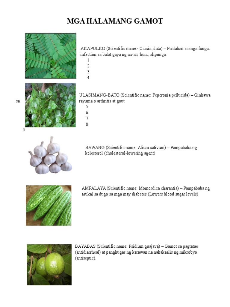 Mga Halamang Gamot | PDF
