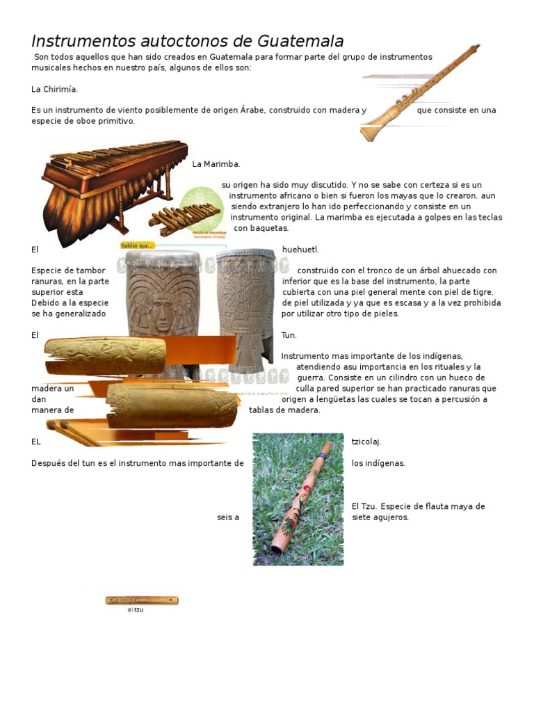6 Instrumentos Autoctonos | PDF