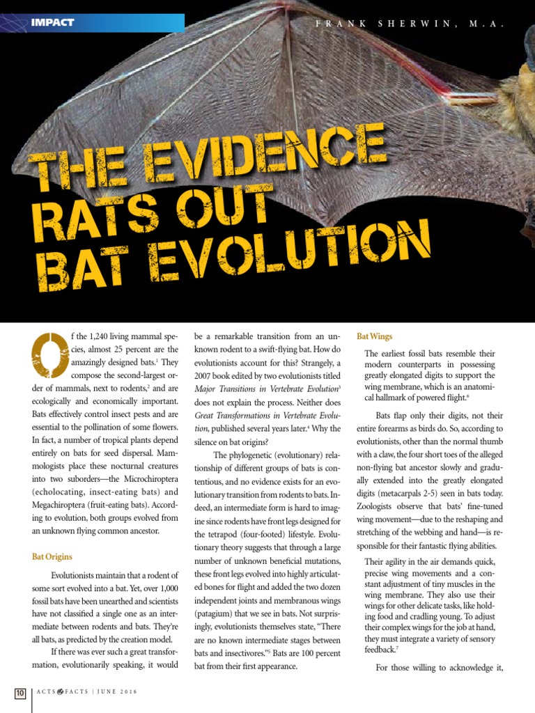 Bat Evolution: Design vs. Theory | PDF | Bat | Evolution