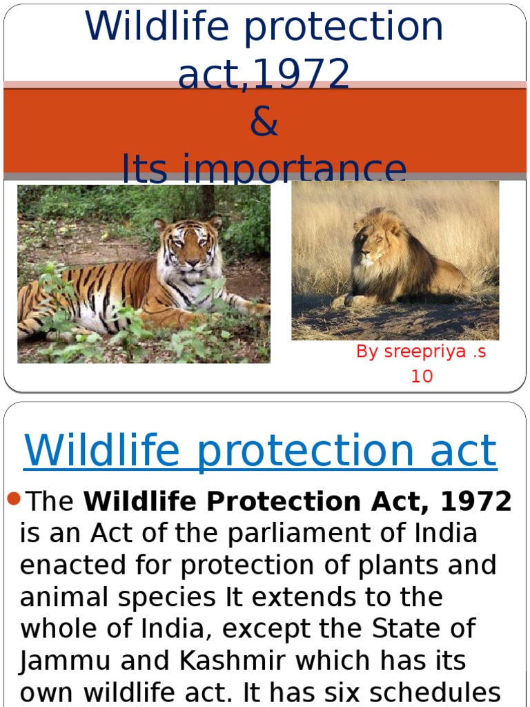 Wild Life Protection Act 1972, PPT | PDF | Wildlife | Hunting